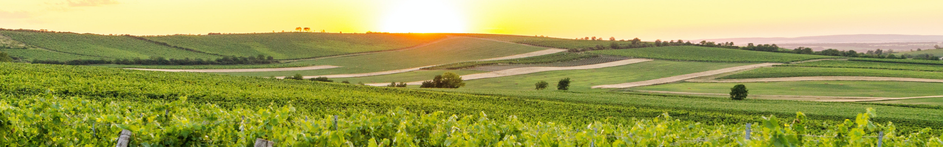 Présentation – Sandrine RIGAUD Développement